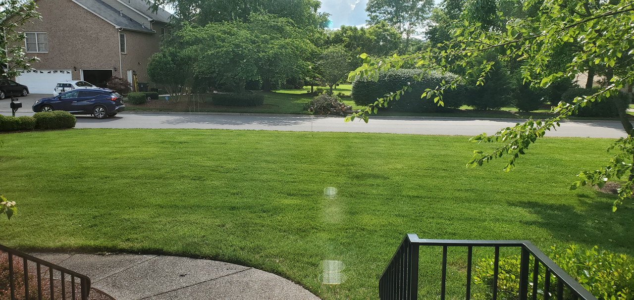 front yard 20200528 161339 — Postimages