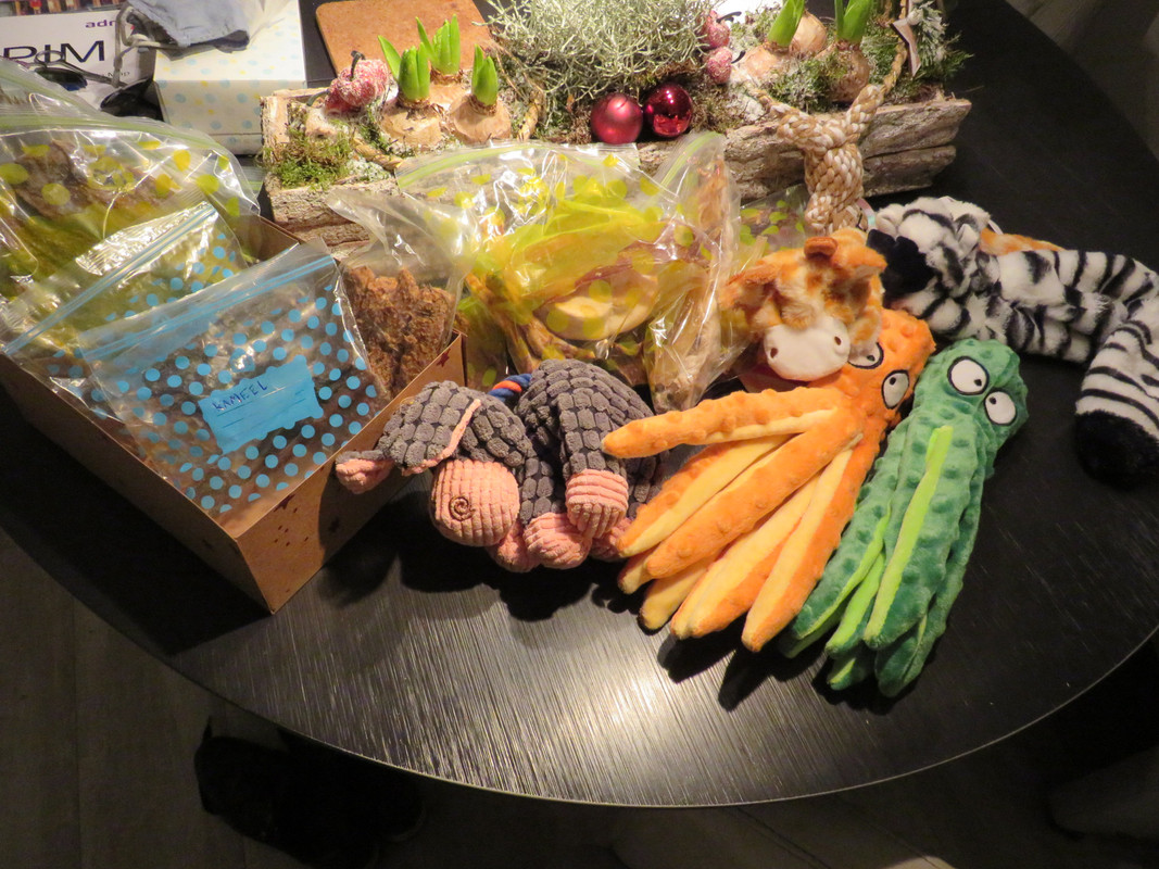 20211224190541 IMG 8079 — Postimages