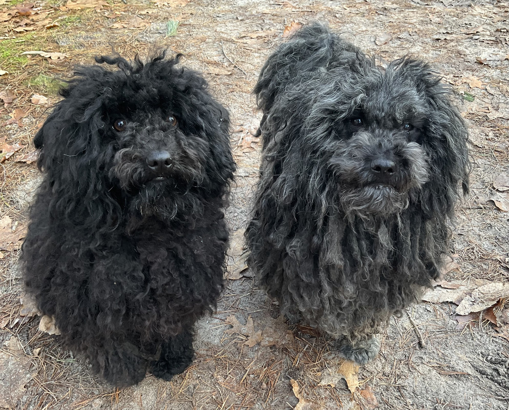 IMG 3179 — Postimages