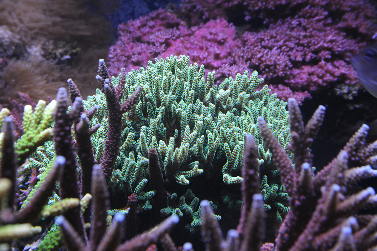 DSC 4586 — Postimages