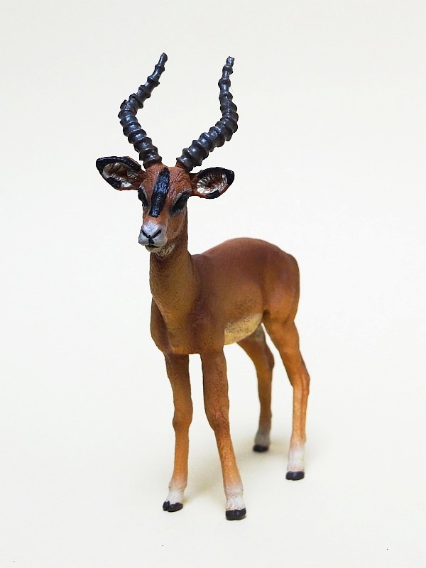 Antelope Elegance - Page 6