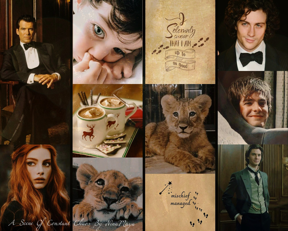 A Scene Of Constant Chaos - NinaMaya - Harry Potter - J. K. Rowling ...