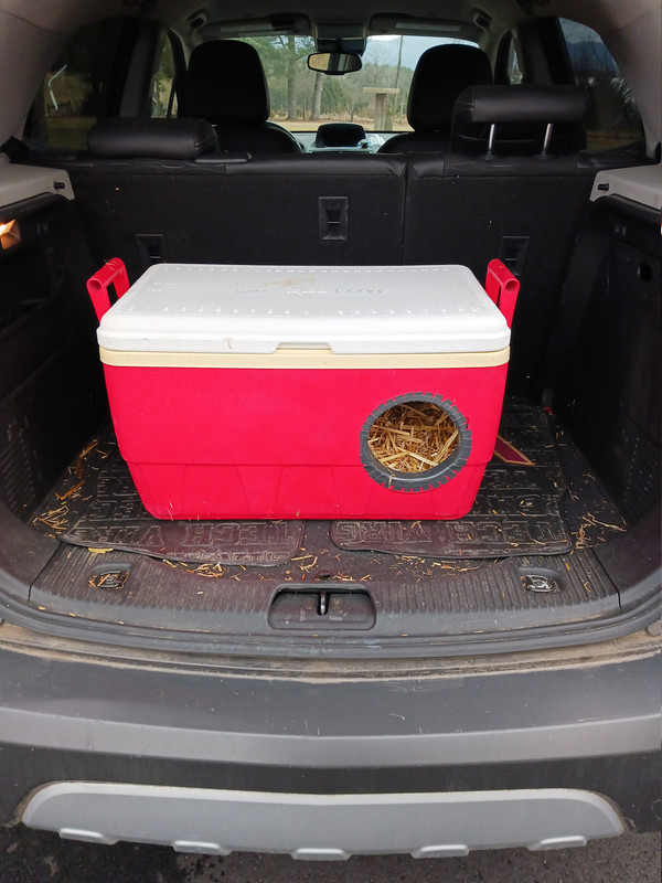 The Garden Thread - December, 2025