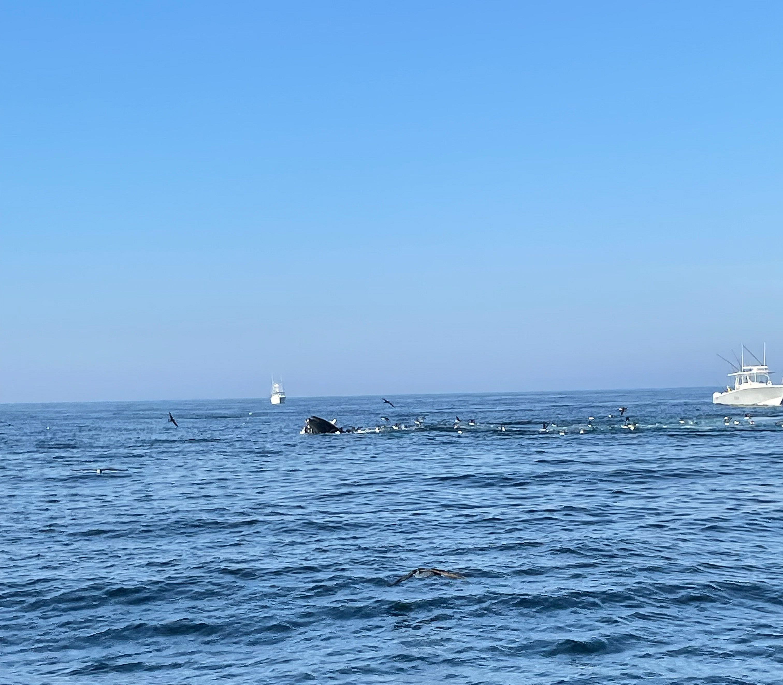 w1 edited — Postimages