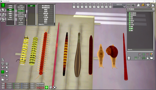 worms — Postimages