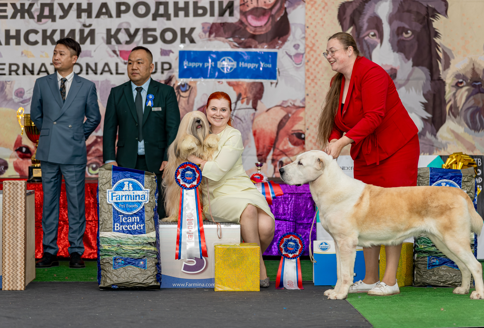 01 645 — Postimages