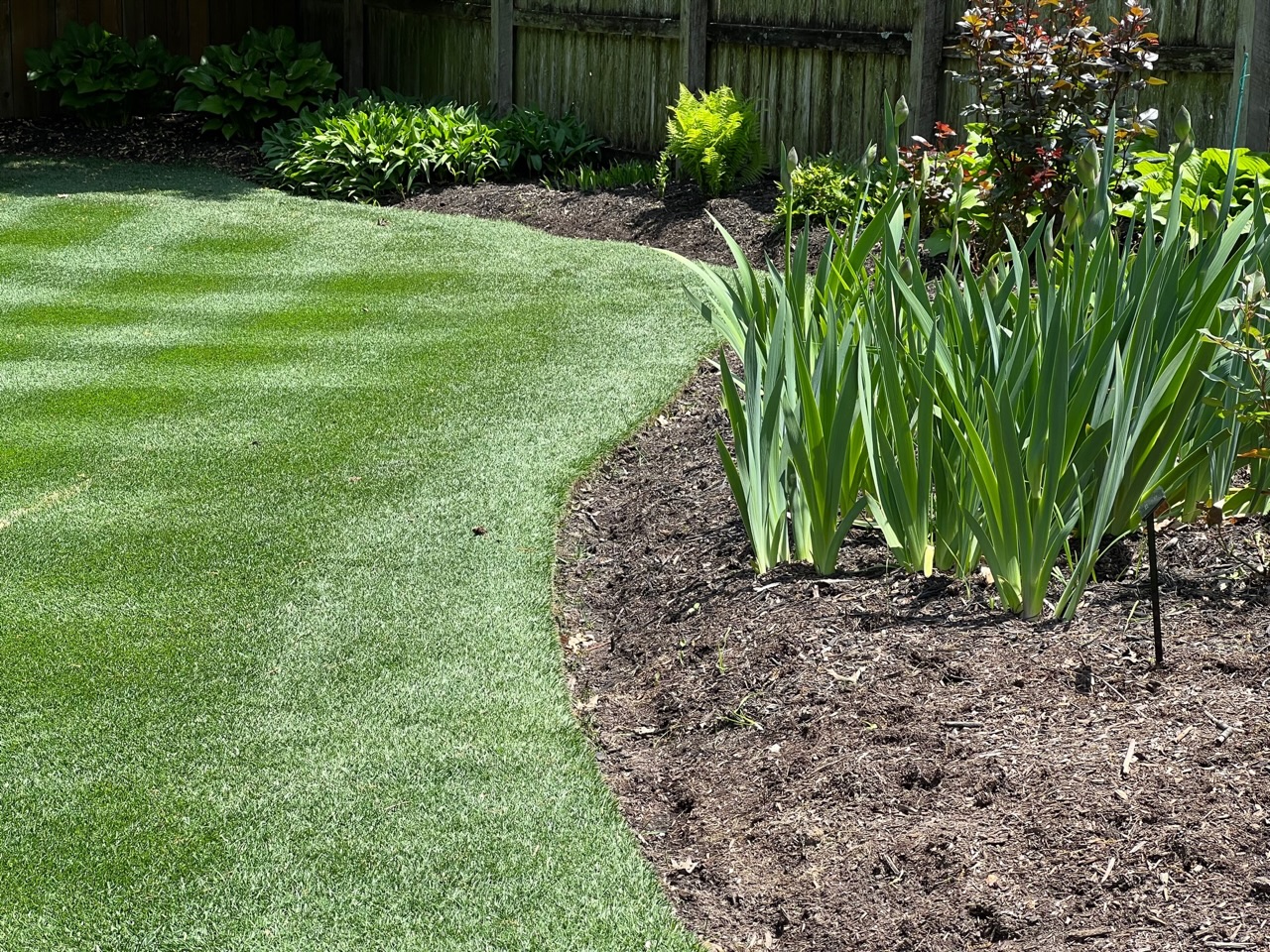 IMG 2791 — Postimages