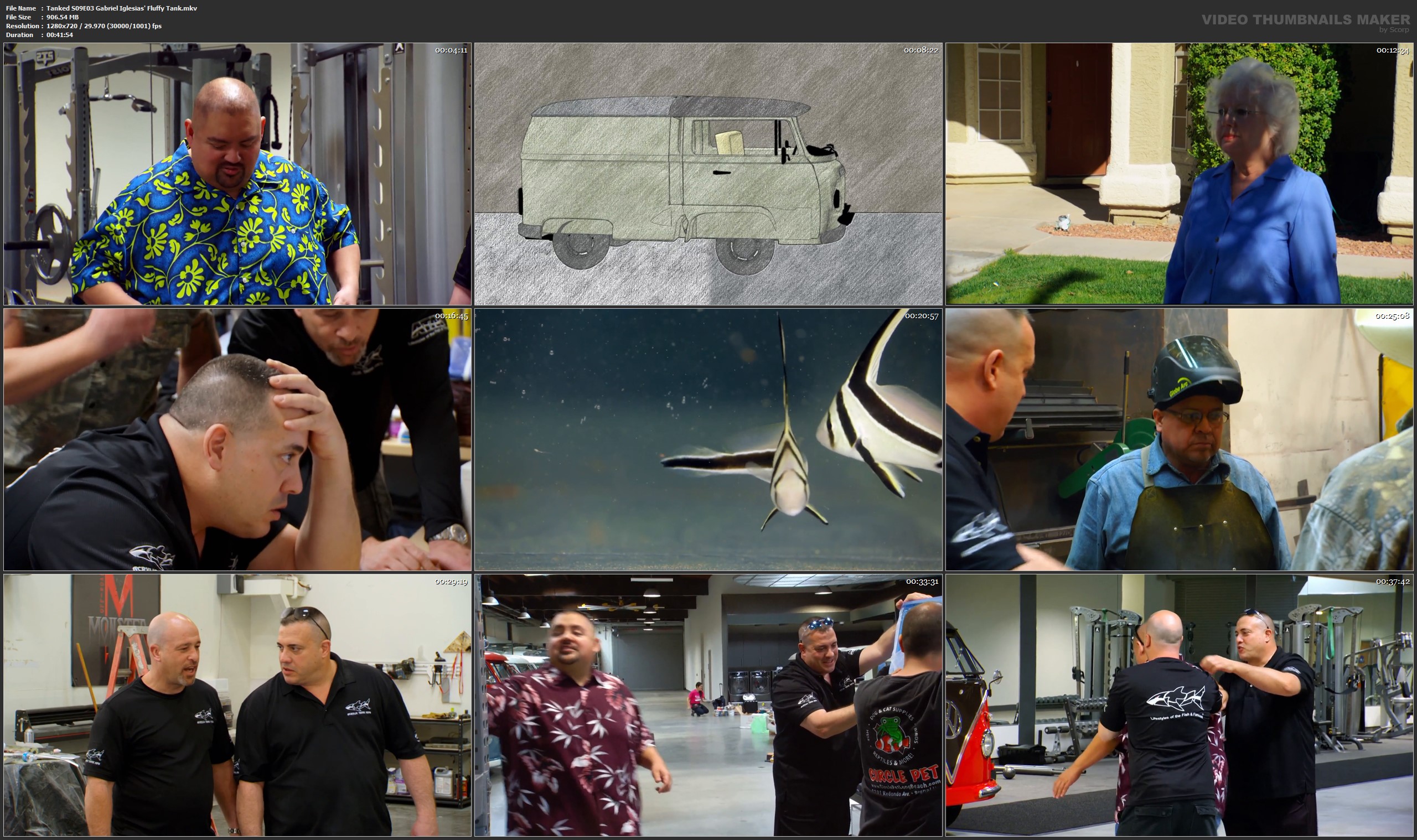 Tanked S09 E03 Gabriel Iglesias' Fluffy Tank mkv — Postimages