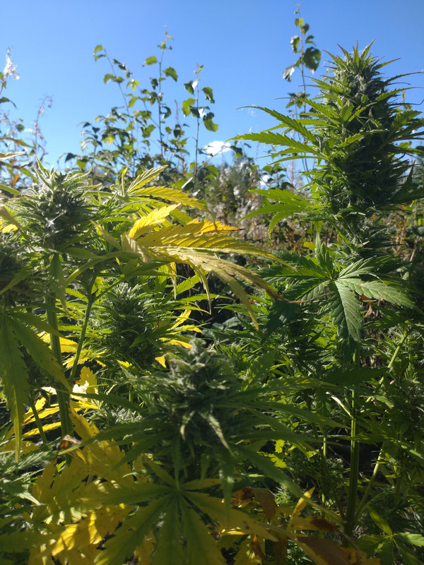 DSC 0298 (1) — Postimages