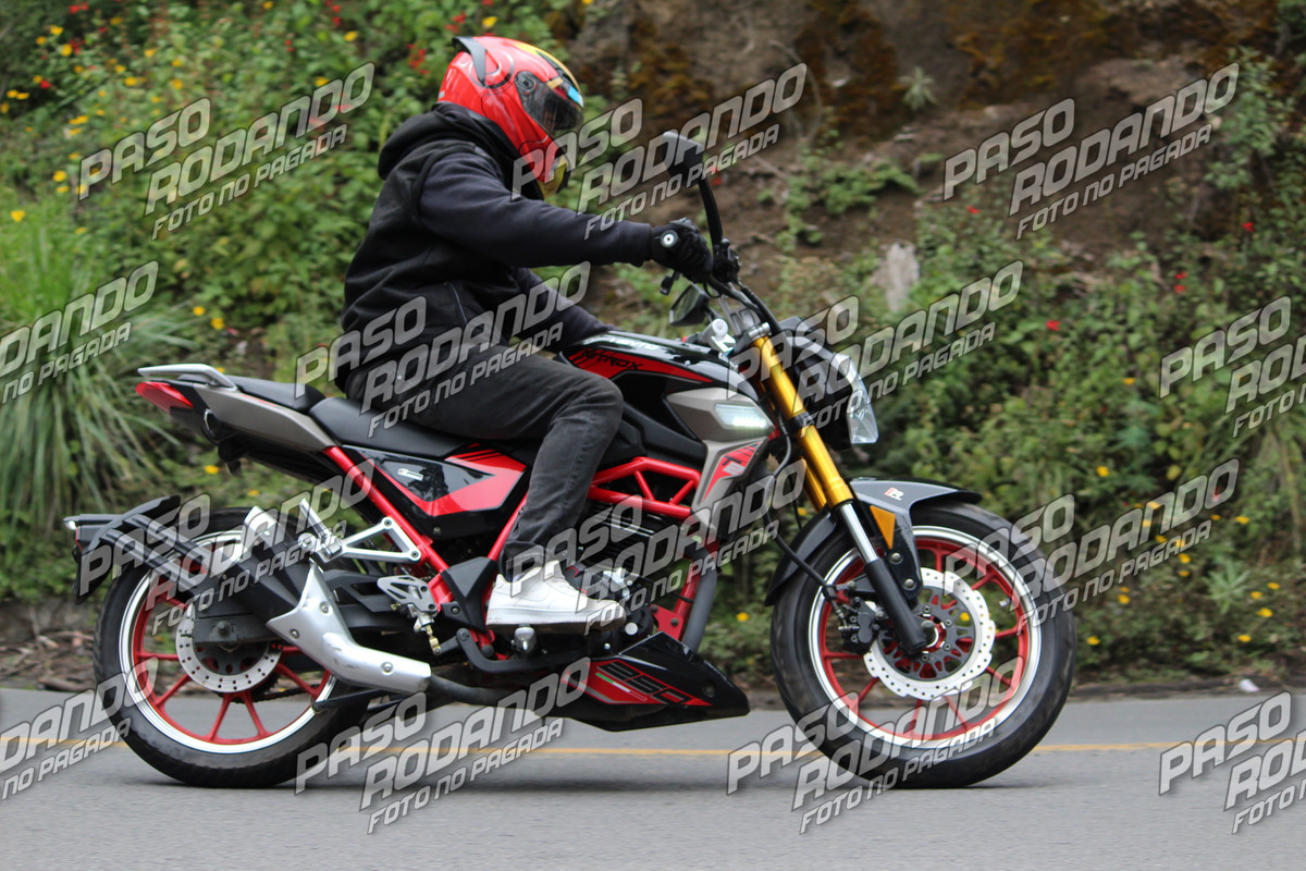 IMG 4930 wm 3098761 9 watermarked — Postimages