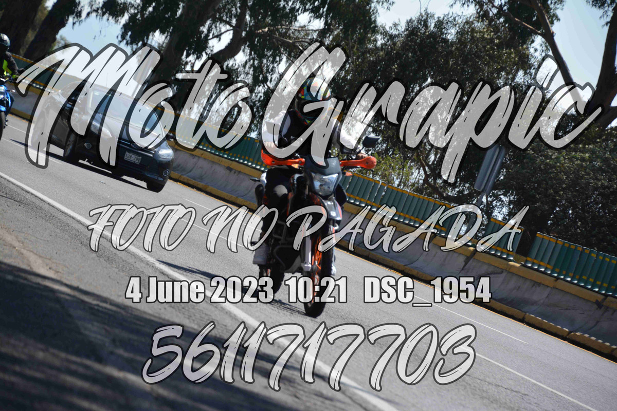 motgr DSC 1954 — Postimages