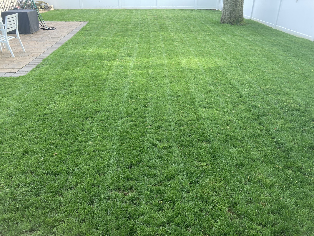 4959 B62 A 9 E16 4 D3 D 92 A7 B3265 D733 BAB — Postimages