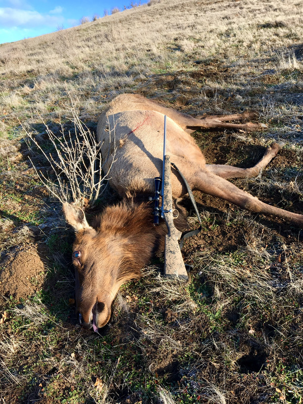 The KIMBER KISS (of death) - 24hourcampfire