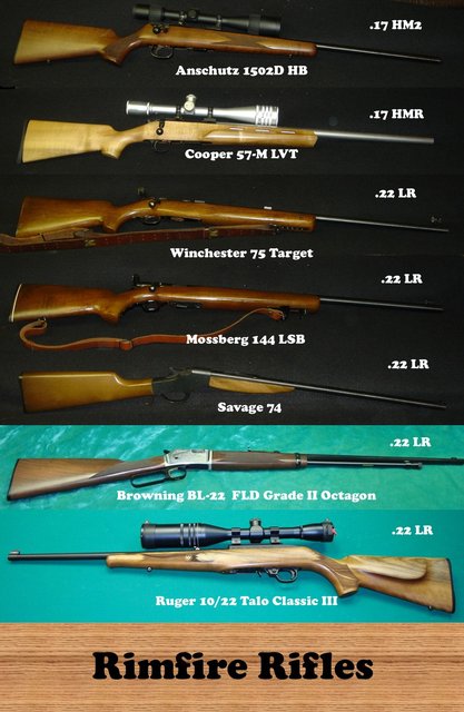 Rimfire Rifles | Ruger Forum