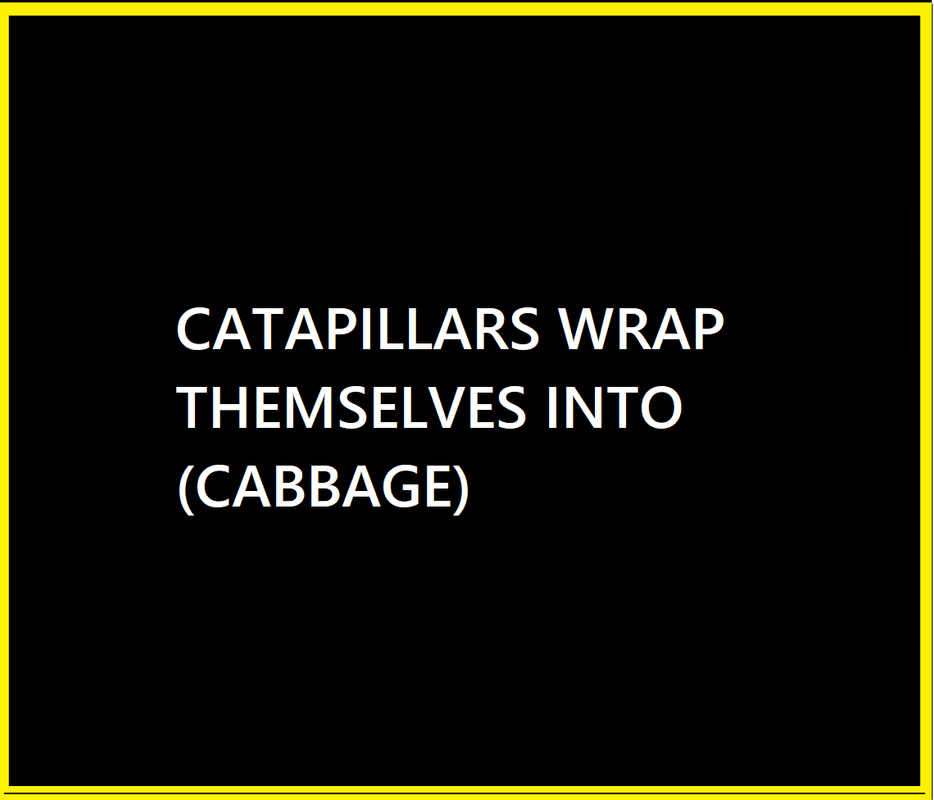 Whew Box — Postimages