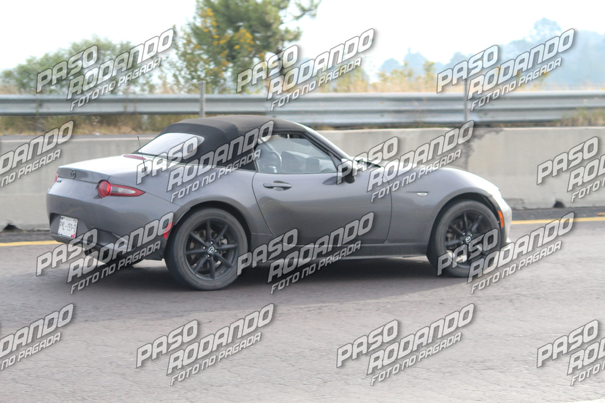 IMG 1023 wm 6427325 899999999 watermarked — Postimages