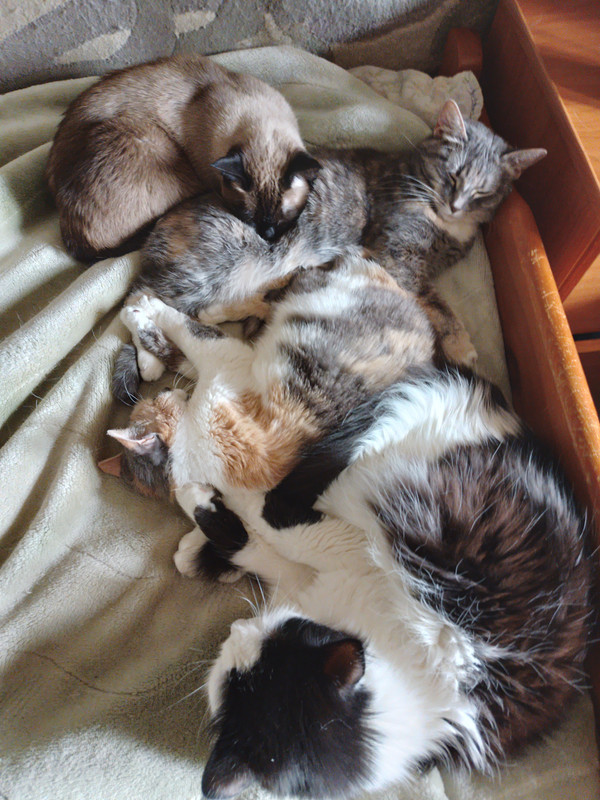 IMG 20230410 182128 486 — Postimages