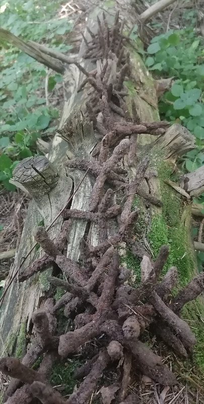 IMG 20220806 165446 — Postimages