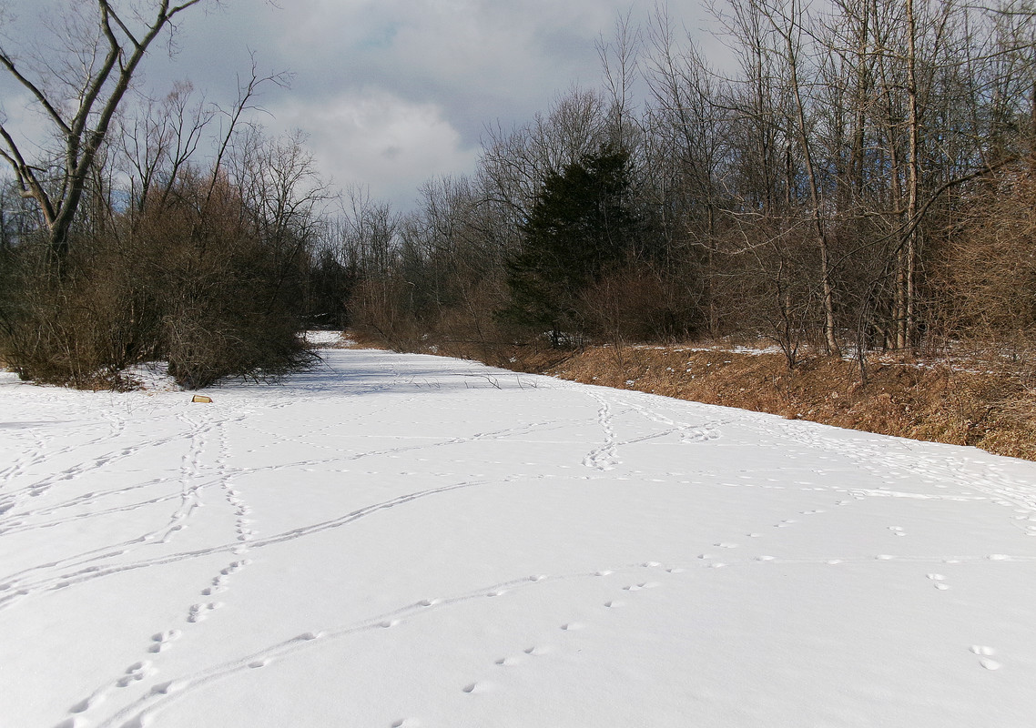 RunningAHEAD - Topic: Jumping January