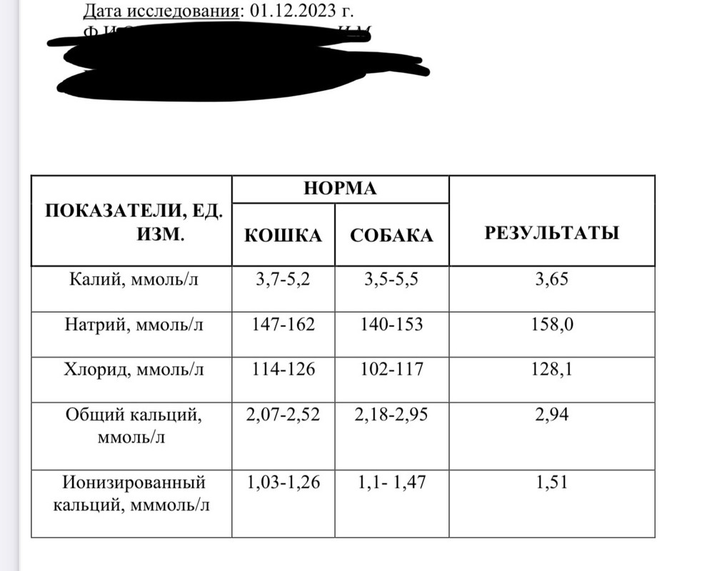 IMG 5340 — Postimages