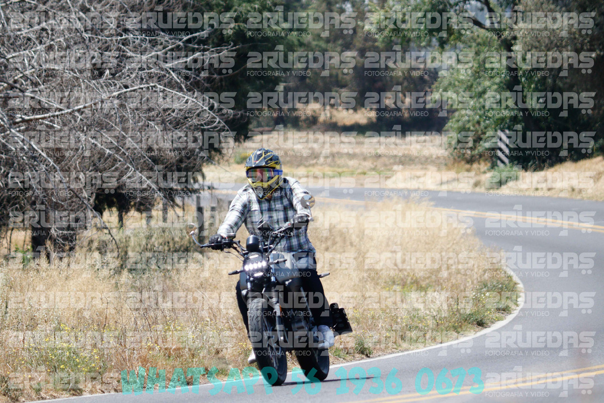 MG 0660 — Postimages