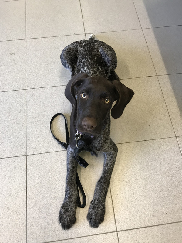 19855 E76 354 F 4 A7 A 91 D8 0 E7886 EA3343 — Postimages