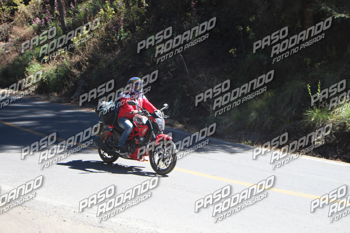 IMG 5355 wm 43659 90000000037 watermarked — Postimages