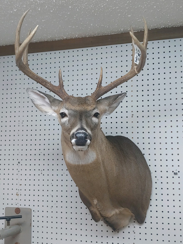 14 E725 CA 143 B 4 E83 A4 FE 58 A2 FD874860 — Postimages