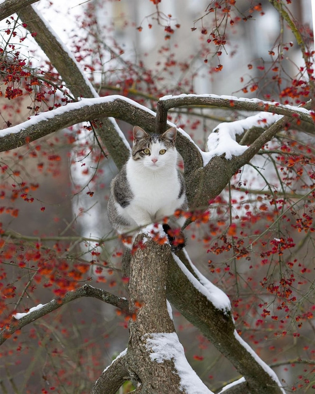 IMG 20230131 123256 660 — Postimages