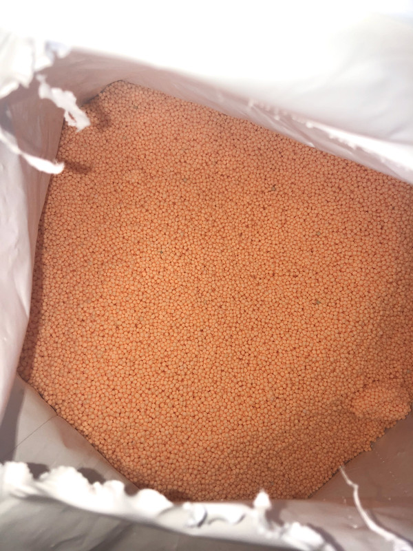 IMG 4722 — Postimages