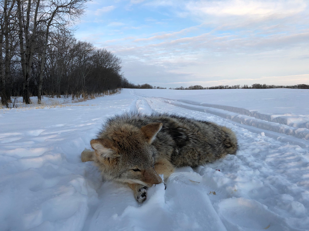 IMG 0367 — Postimages