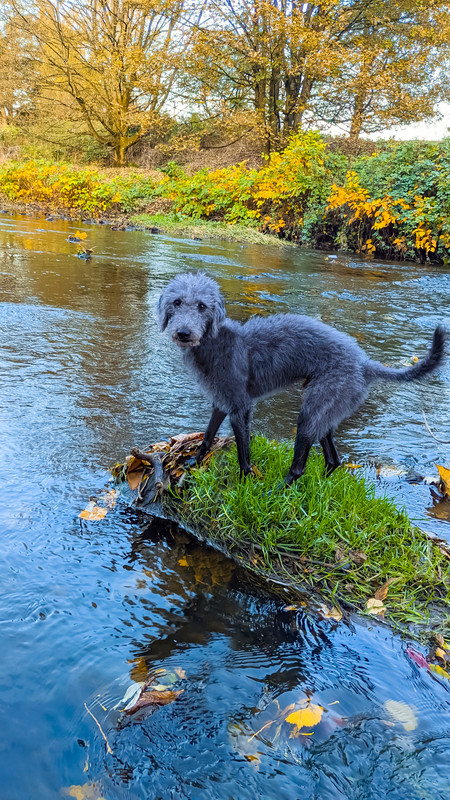 xaxn618qvlu91 done — Postimages