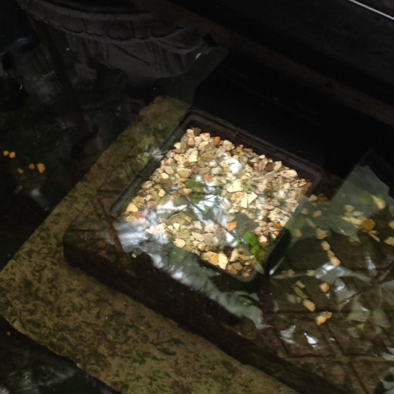 IMG 1602 — Postimages