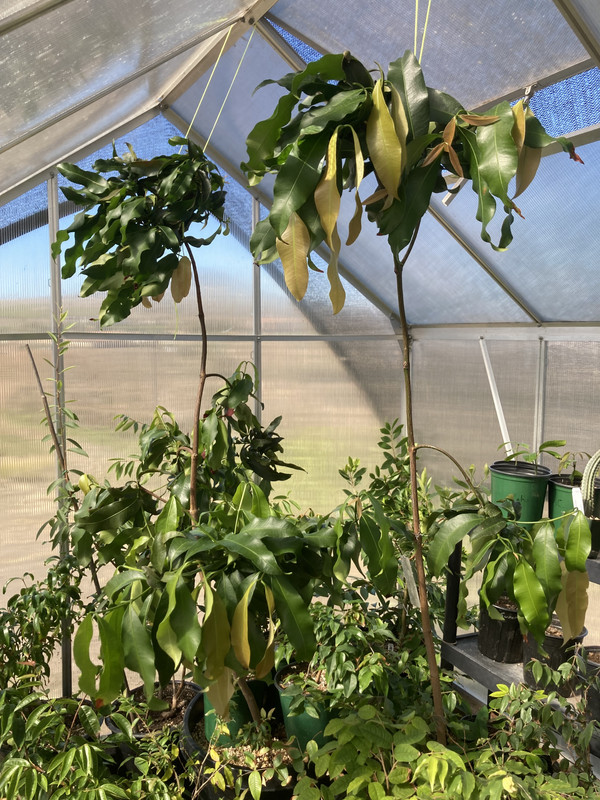 IMG 3012 — Postimages