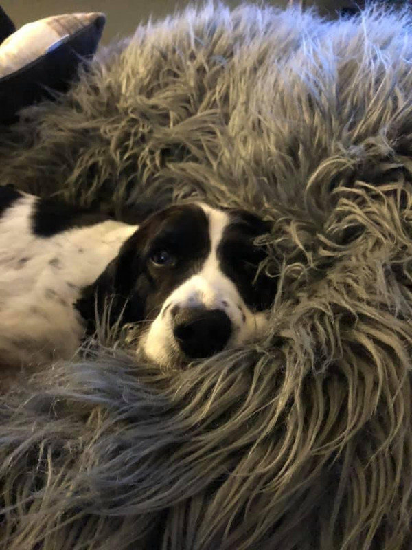 IMG 6352 — Postimages