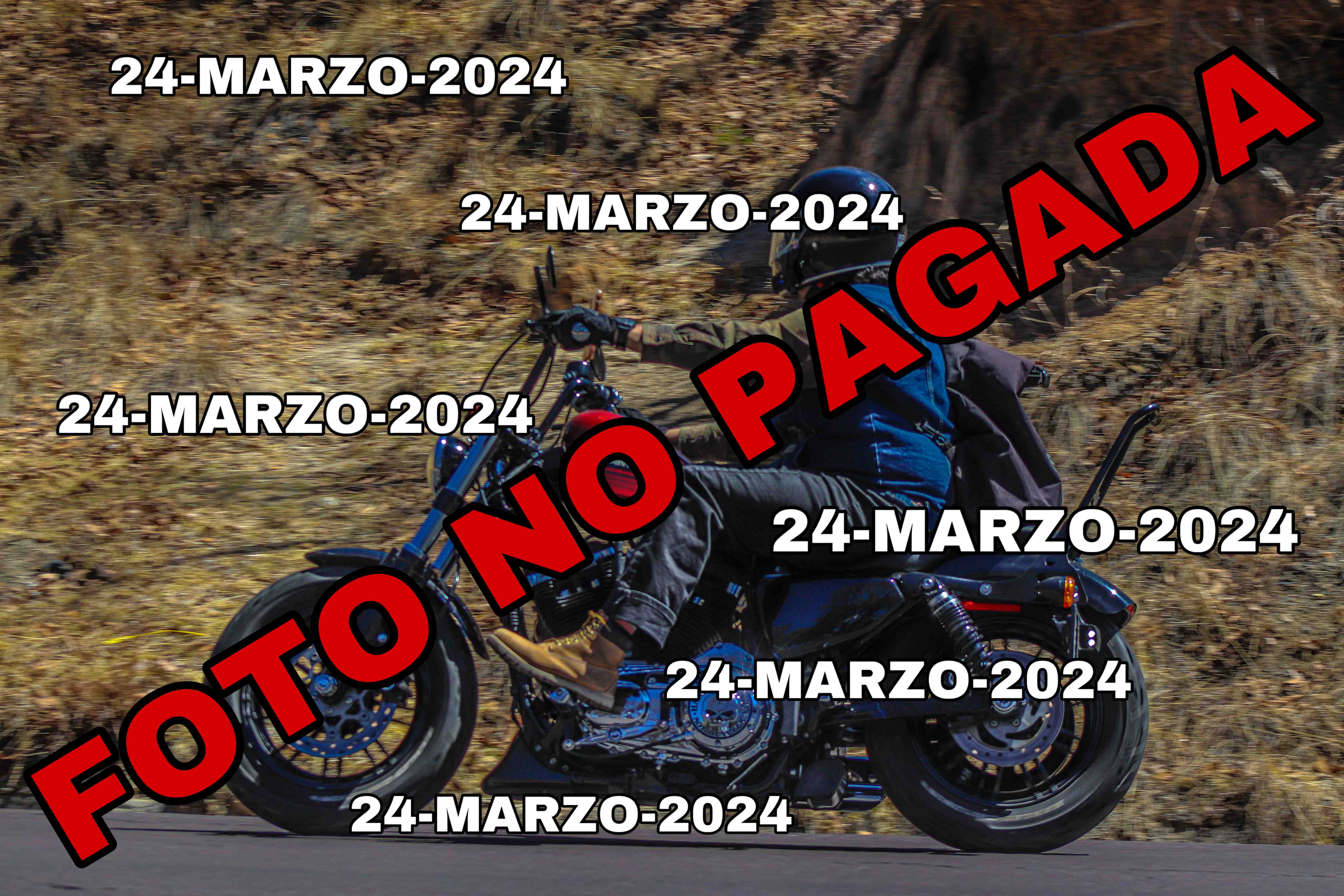 CS 233 — Postimages