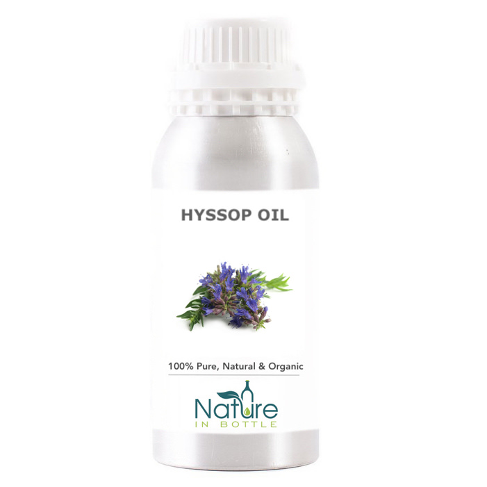 Hyssop Essential Oil Organic - Hyssopus Officinalis Decumbens