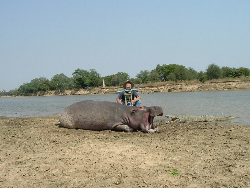 Jon Hippo 2006 — Postimages