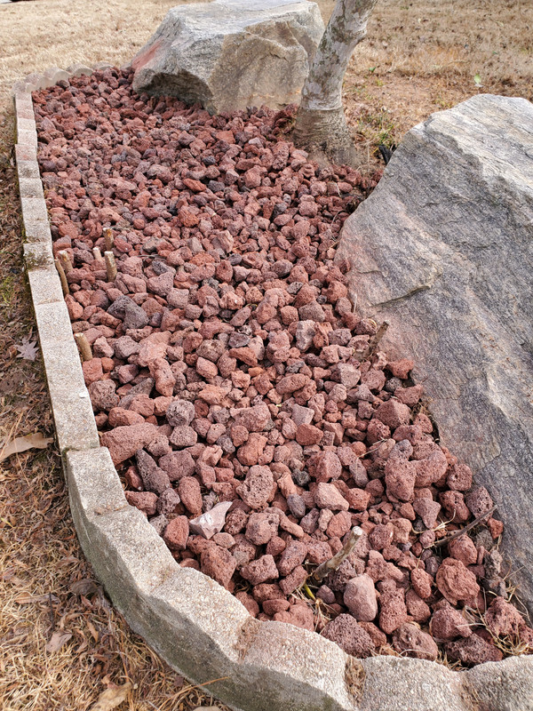 What Goes With Lava Rock Landscaping Installed Lava Rocks And Encore