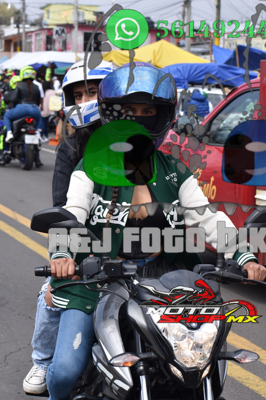 AVQ 4254 — Postimages