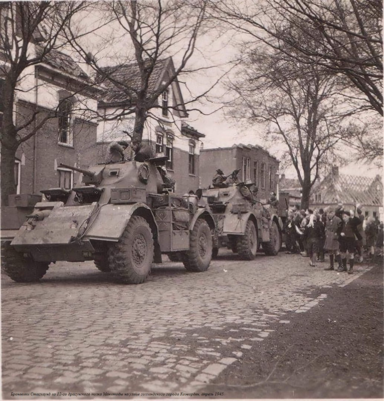 Interesting Staghound Photos - Missing-Lynx