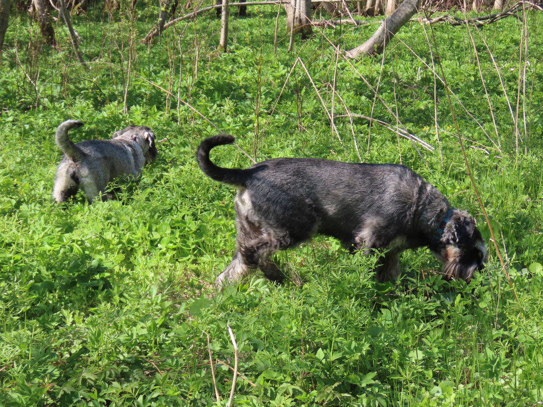 IMG 6948 — Postimages