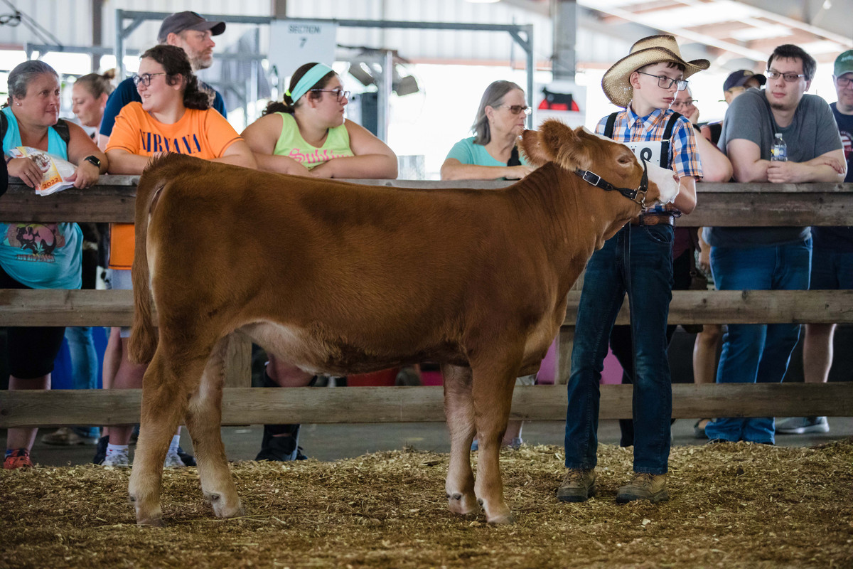 NYSF 2022 Khaos pix — Postimages