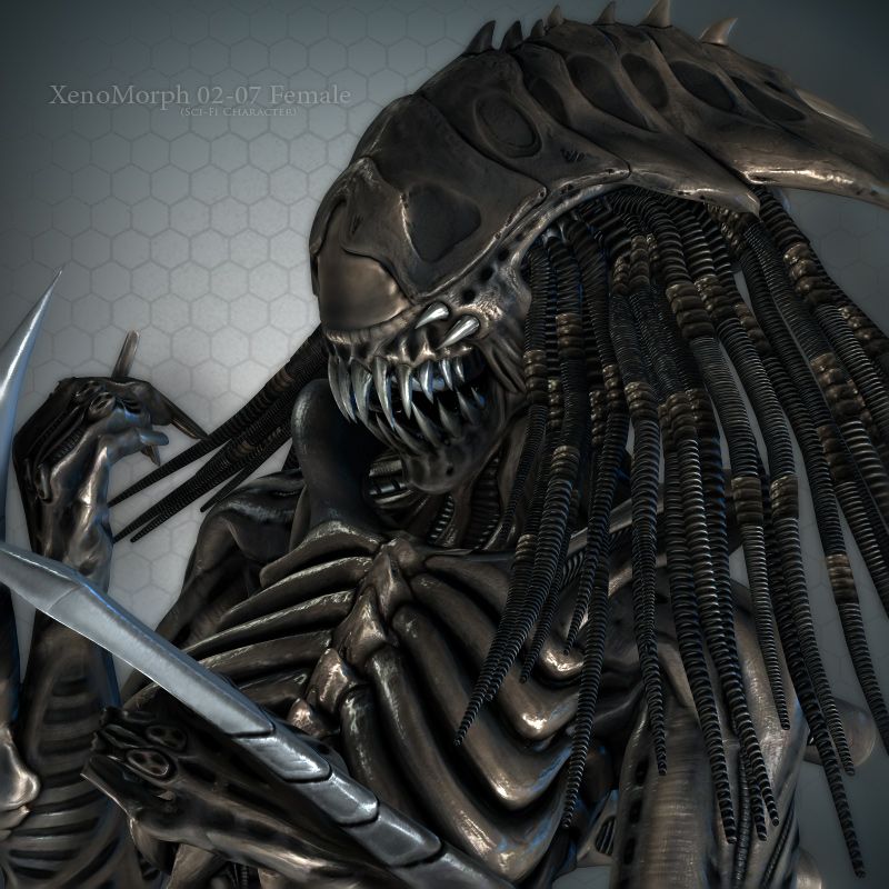 Female Xenomorph