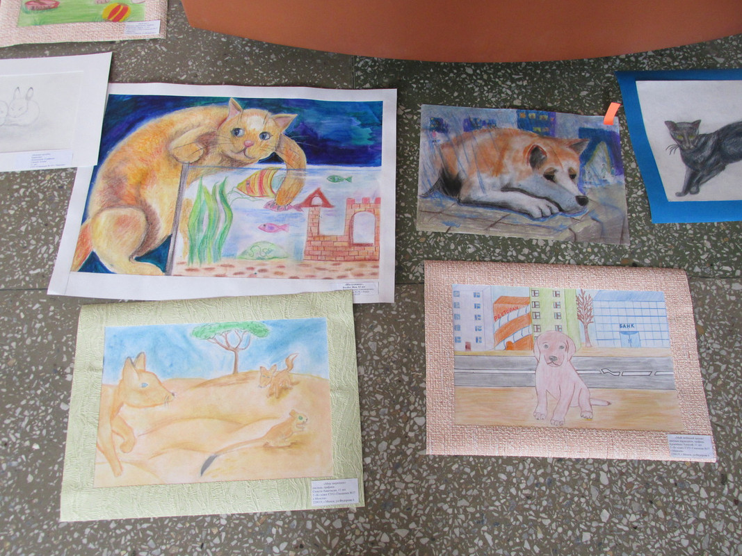 IMG 1920 — Postimages