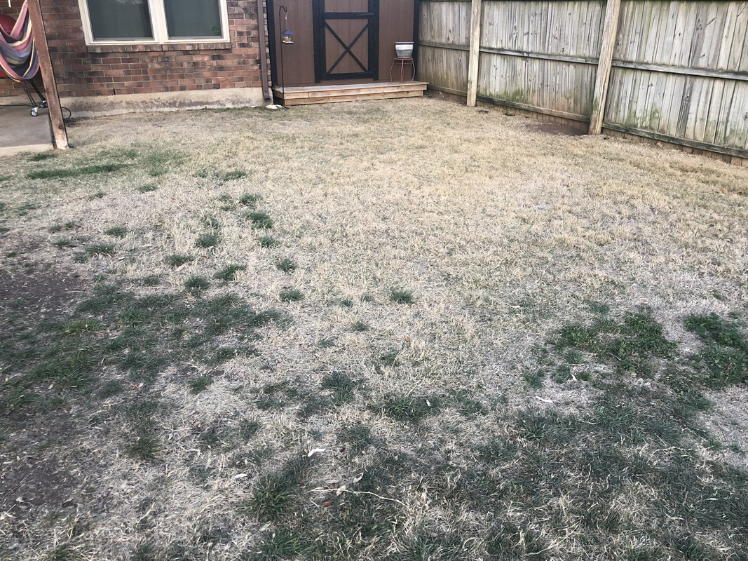 My lawn looks awful… | Lawn Care Forum