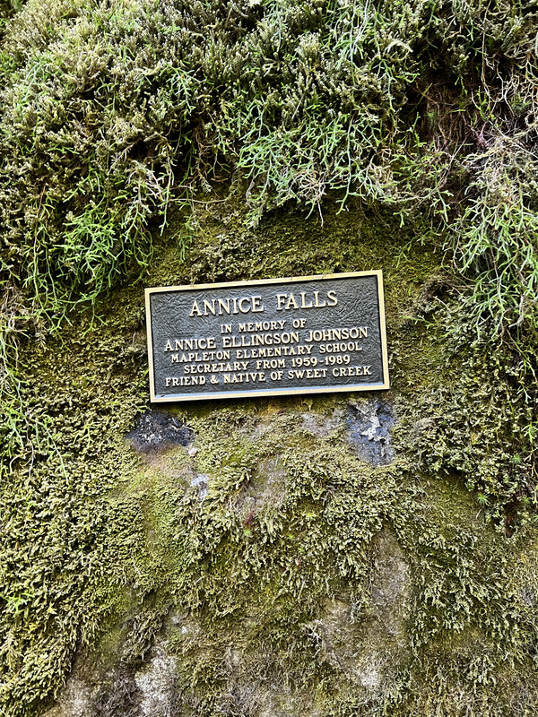 E500 EF49 B32 C 48 E8 B00 A 1060 ECF5 F1 AB — Postimages