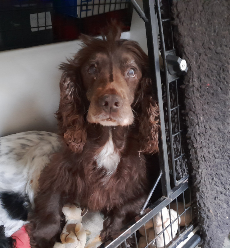 ISA LAST DAY 020424 — Postimages