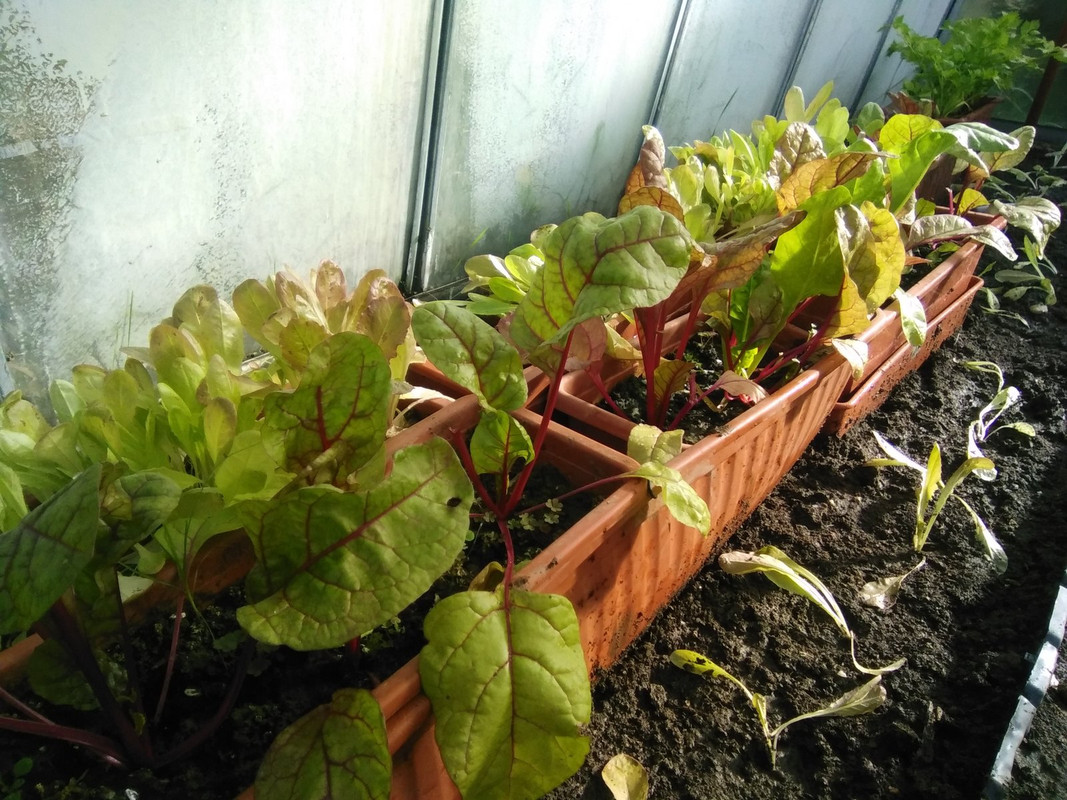 IMG 20221027 122013 — Postimages