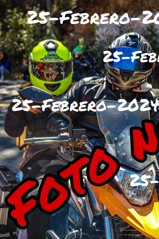 SC 286 — Postimages